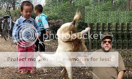 Disabled Goat Learns To Walk On Two Legs : r/aww
