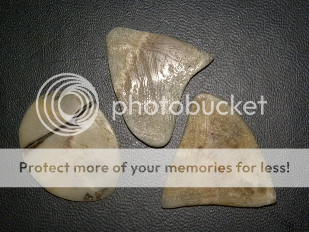 Finally have some turtle shell picks..... I think... - The Acoustic ...